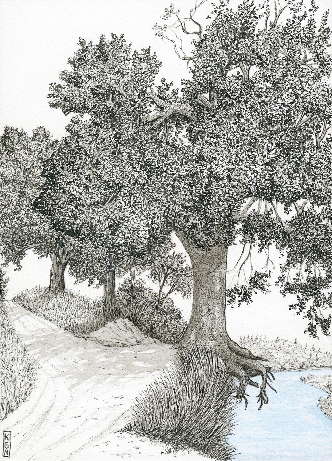 California Blue Oak Tree Giclee Print: American River Art - Etsy