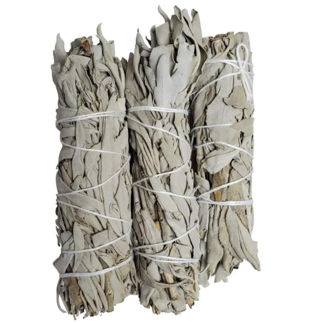 White Sage 4 Inch Wholesale Bulk White Sage Smudge Piece - Etsy