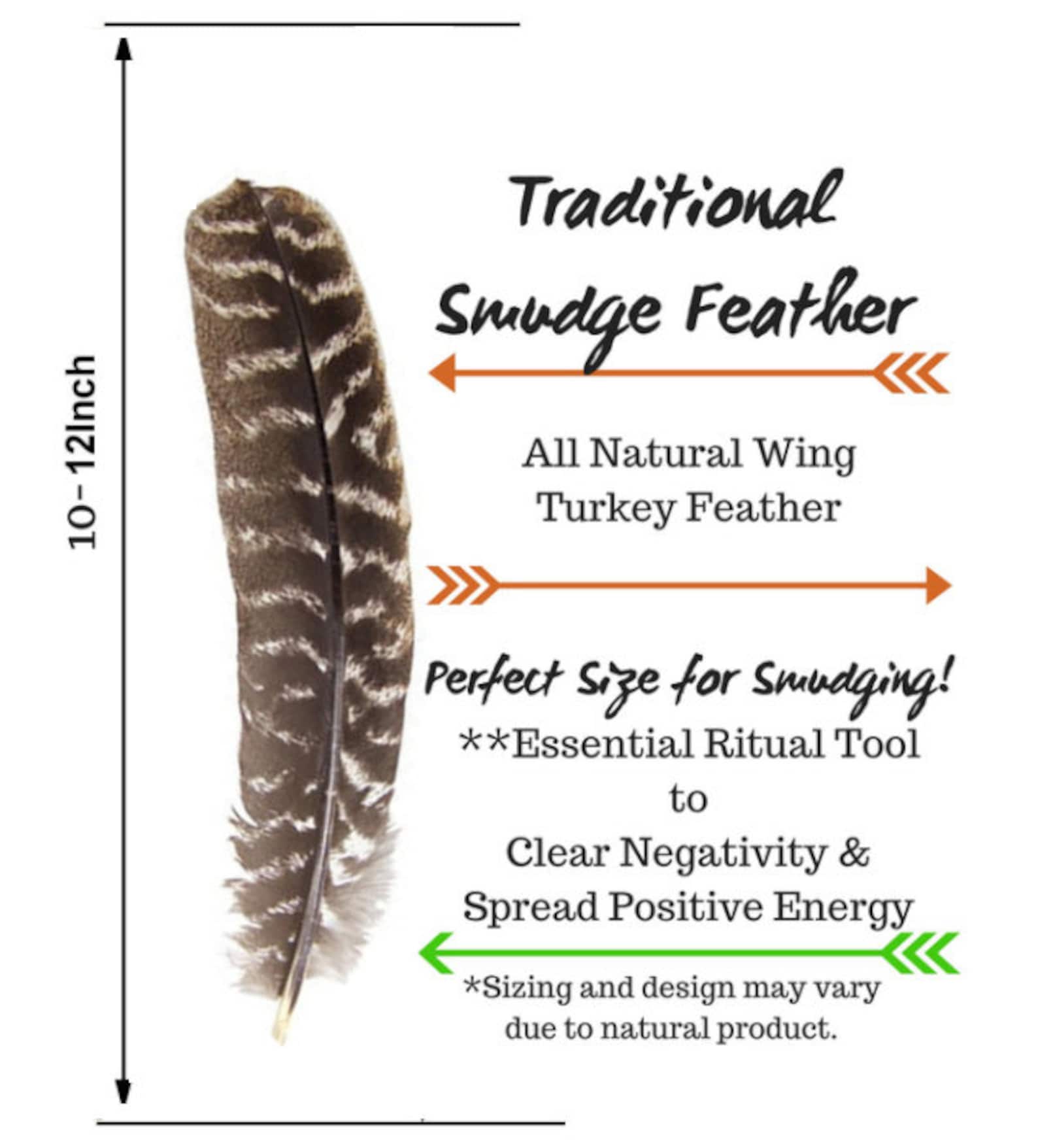 Natural Turkey Feathers Bulk Feather 10-12 in Wild Turkey - Etsy