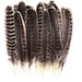 Natural Turkey Feathers Bulk Feather 10-12 in Wild Turkey - Etsy