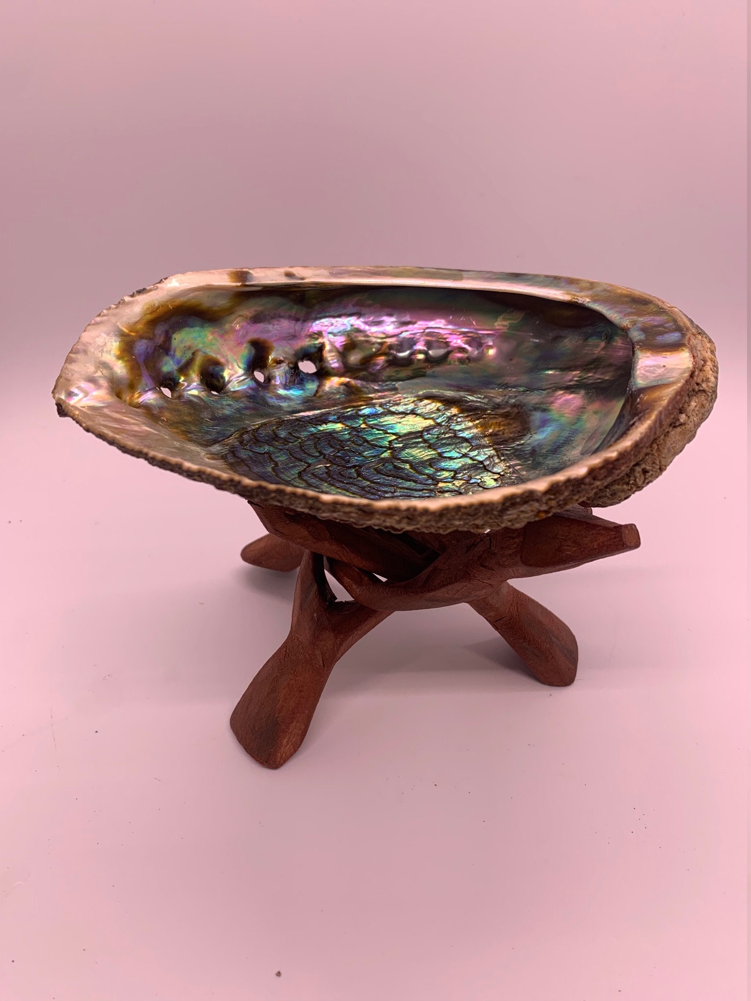 Wood Burning Shell - Etsy