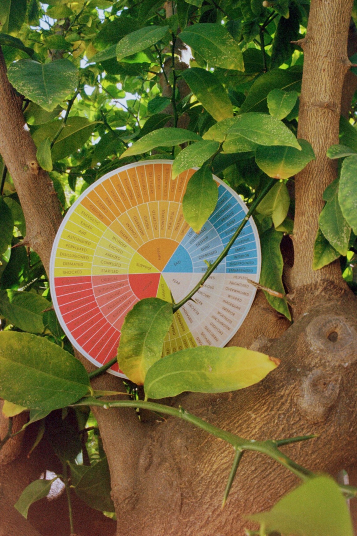 PNG File Emotions Color Wheel in Bright Tones Instant Download - Etsy