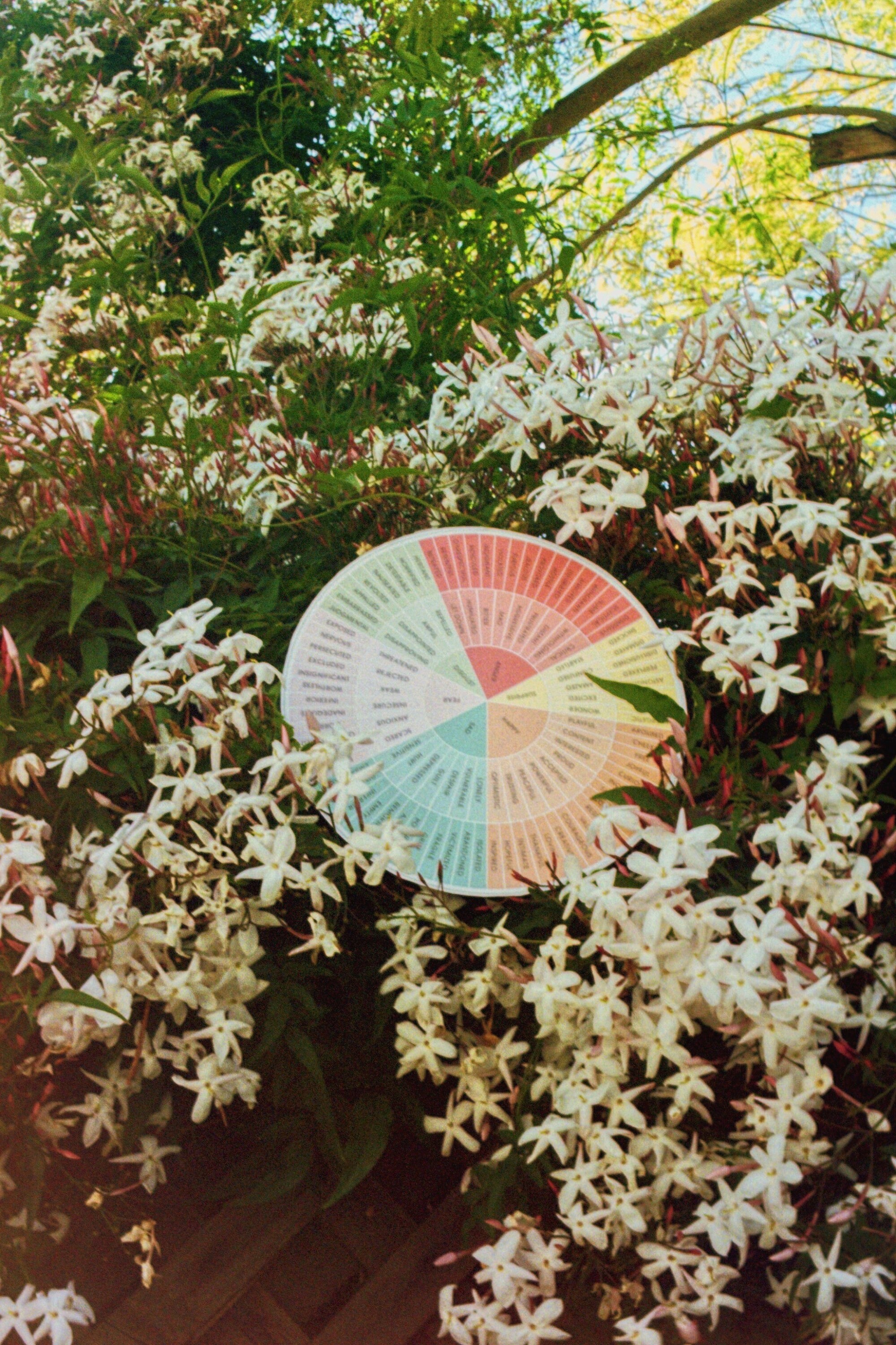 PNG File Emotions Color Wheel in Pastel Tones Instant Download - Etsy