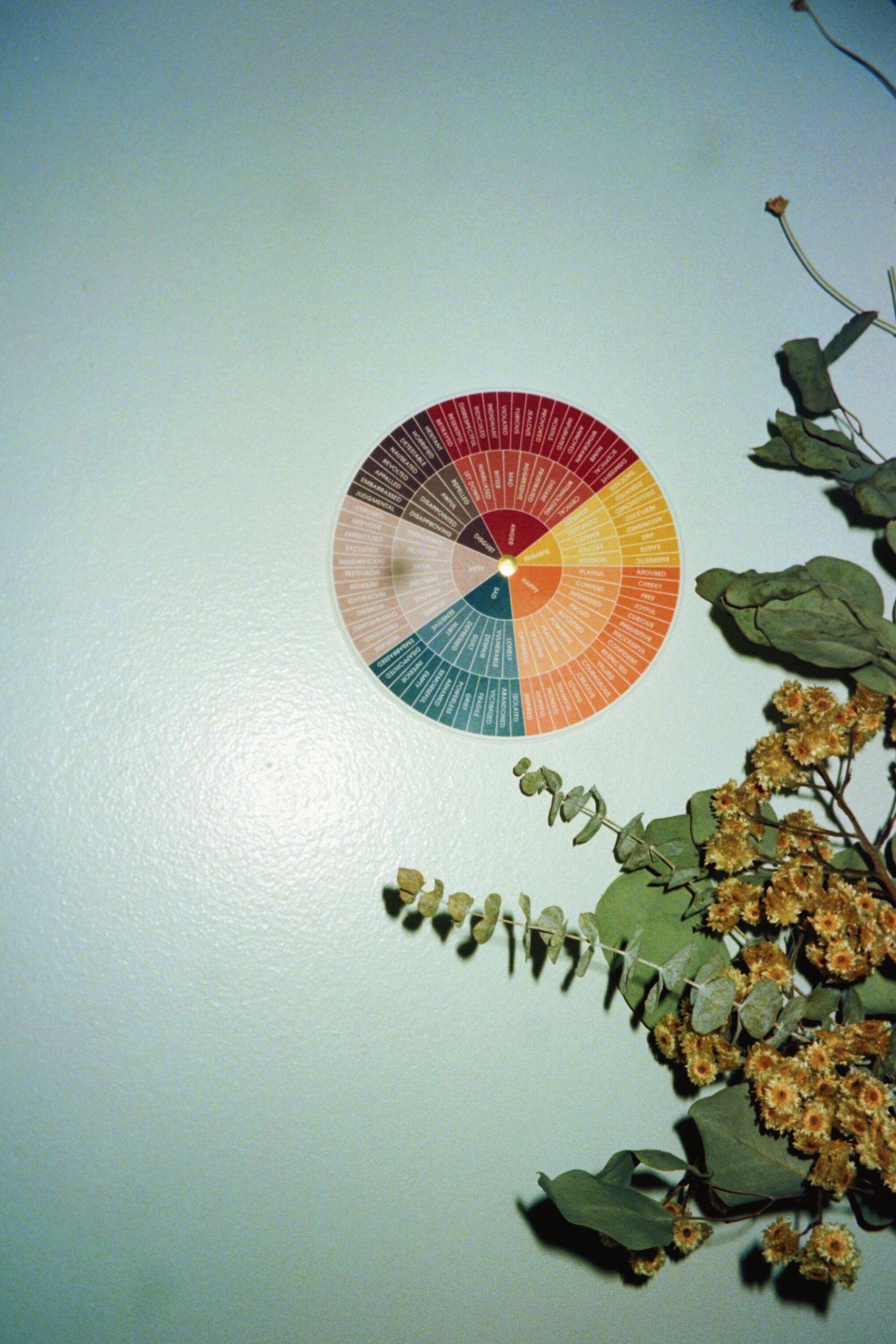 PNG File Emotions Color Wheel in Earth Tones Instant Download - Etsy