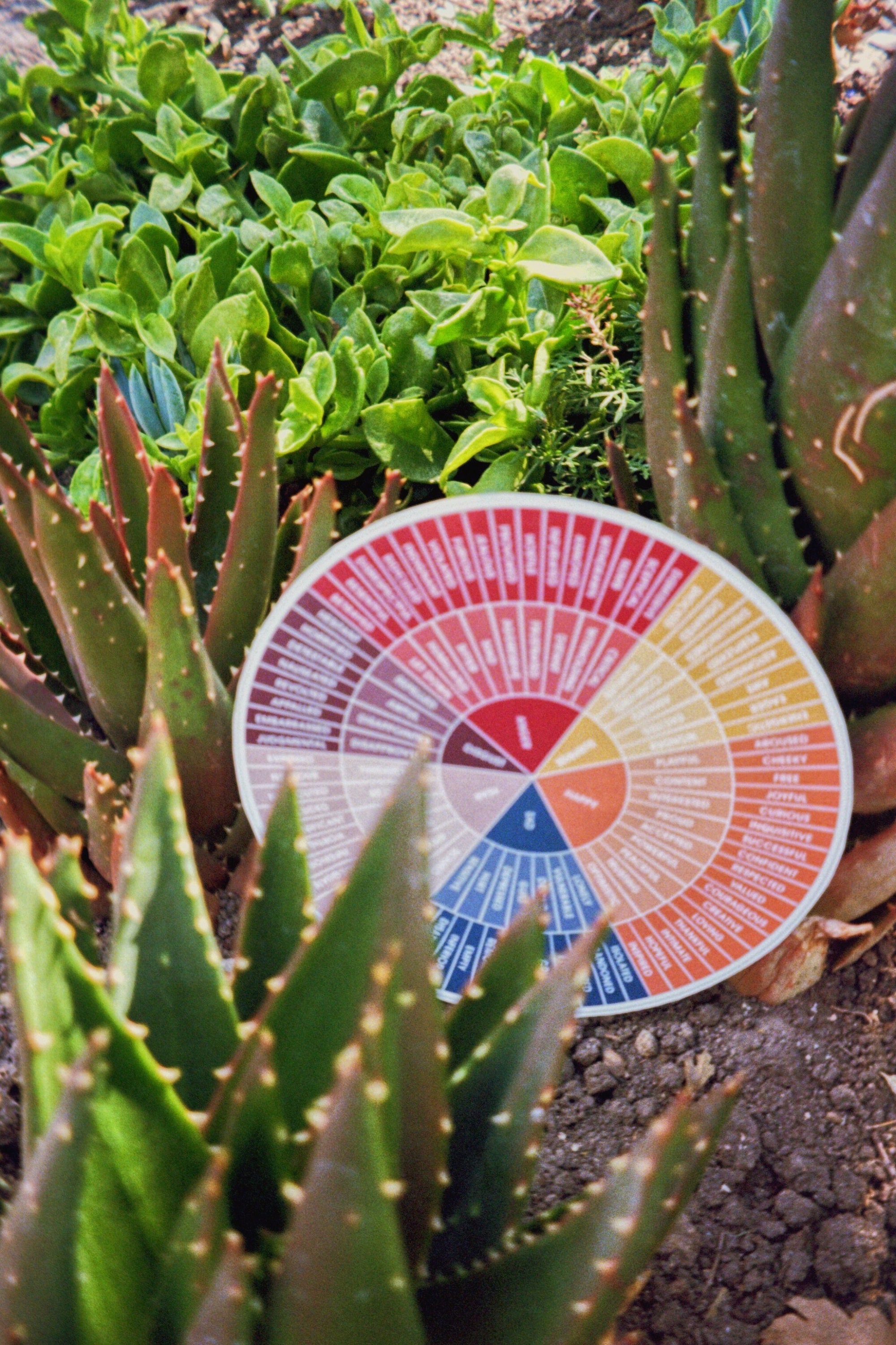 PNG File Emotions Color Wheel in Earth Tones Instant Download - Etsy