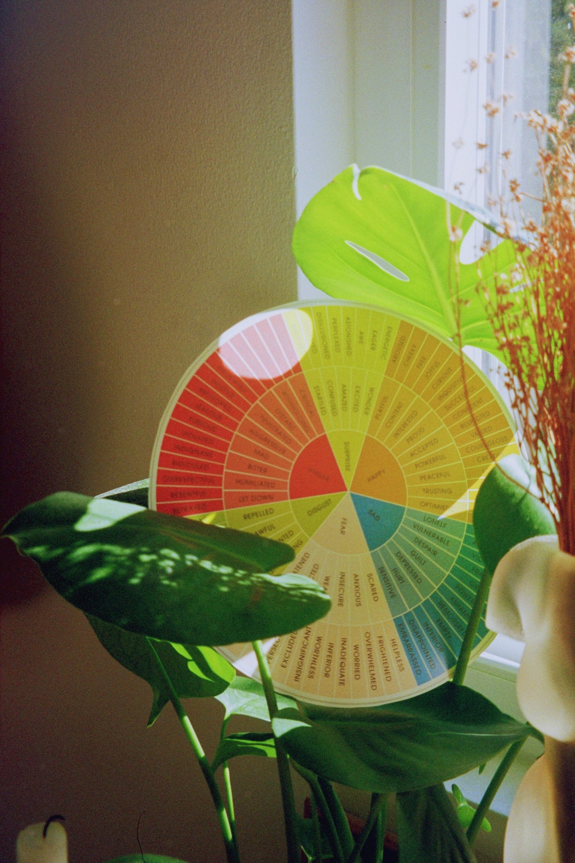 PNG File Emotions Color Wheel in Bright Tones Instant Download - Etsy