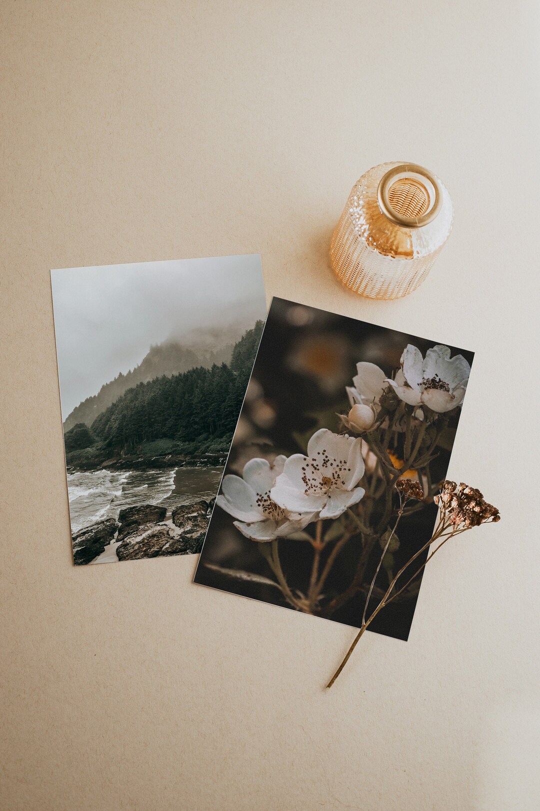 Photography Postcard Set of 2 | 5x7 Notecards | Oregon Coast | Wild ...