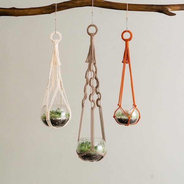 Hanging Terrarium - Etsy