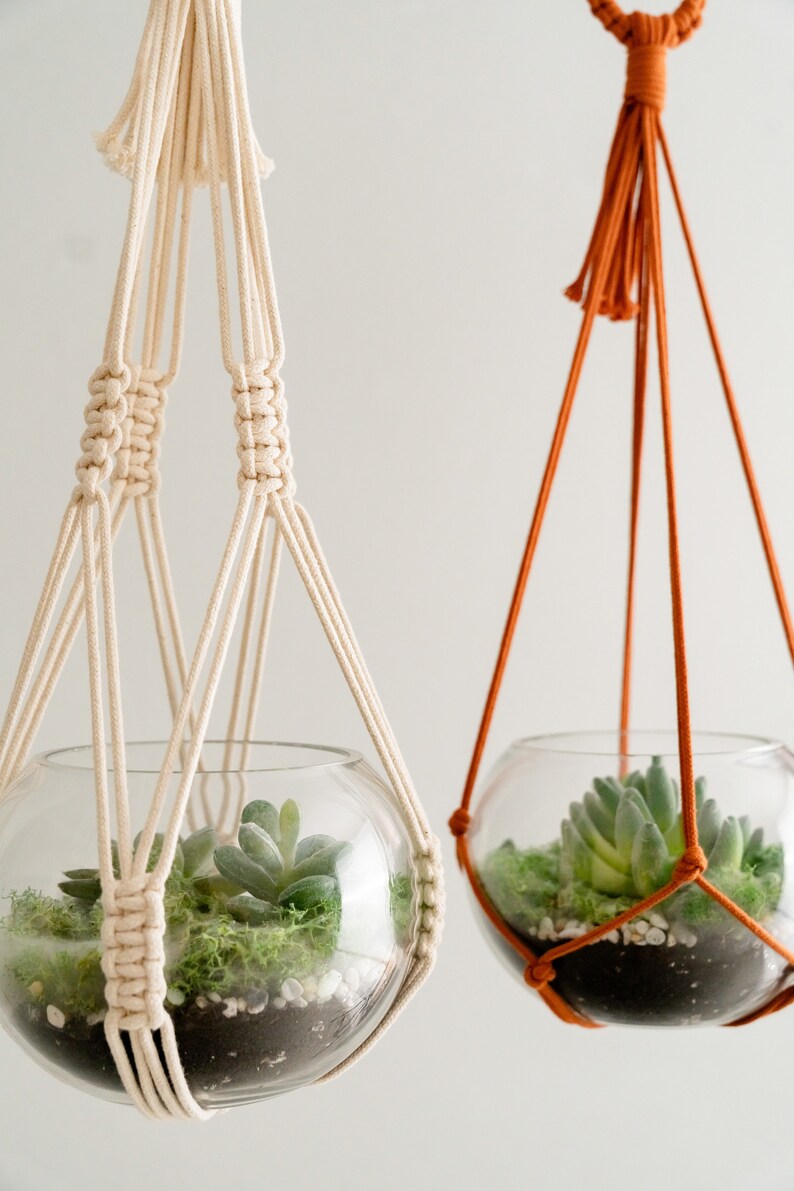 Macrame Plant Hanger, Hanging Terrarium, Hanging Plant Hanger, Indoor ...