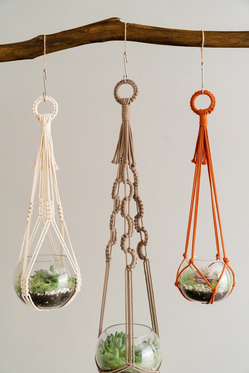 Macrame Plant Hanger, Hanging Terrarium, Hanging Plant Hanger, Indoor ...