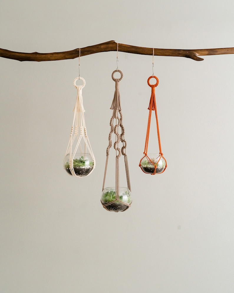 Macrame Plant Hanger, Hanging Terrarium, Hanging Plant Hanger, Indoor ...