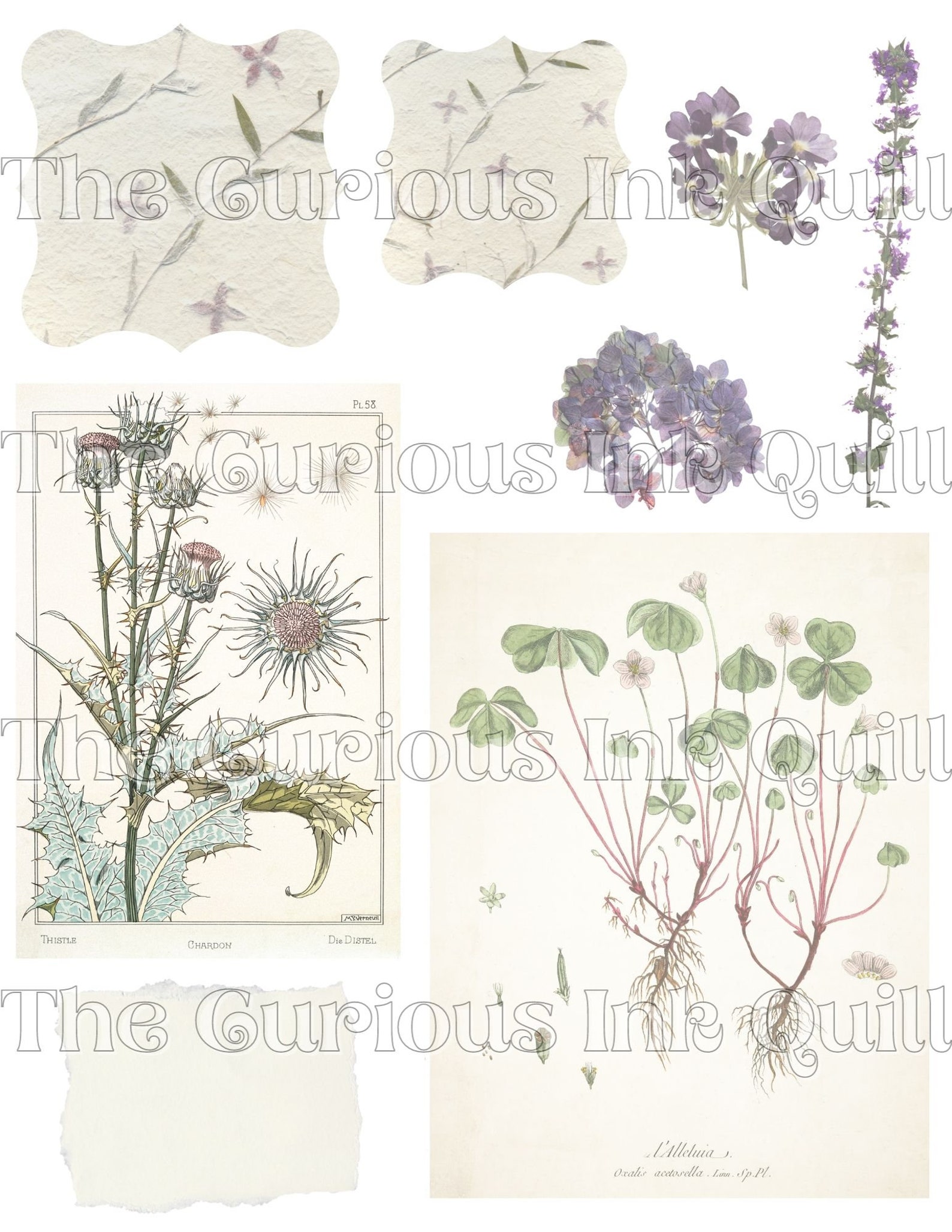 Vintage Botanical Printable Ephemera 15 Page Pack DIGITAL Download ...