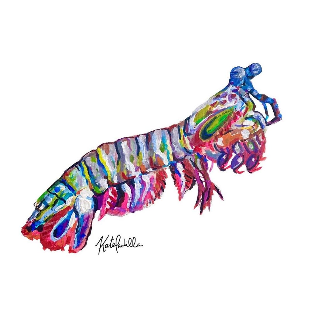 Rainbow Mantis Shrimp Watercolor Art Print | Ocean Animal Illustration ...