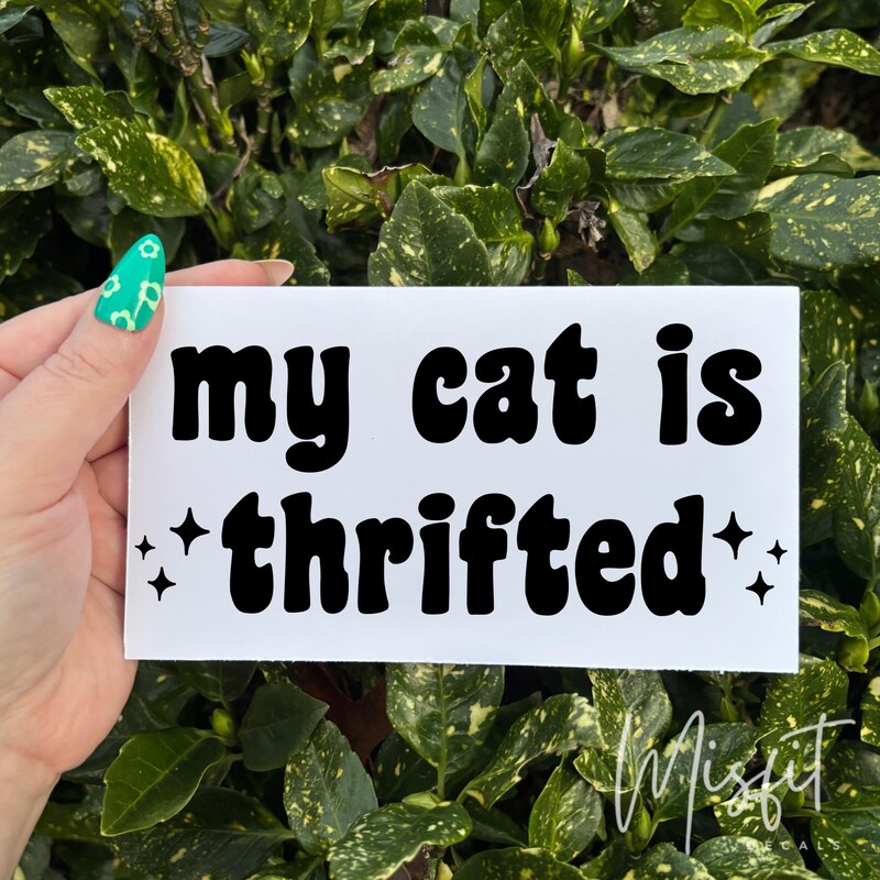 Cat Bumper Sticker - Etsy