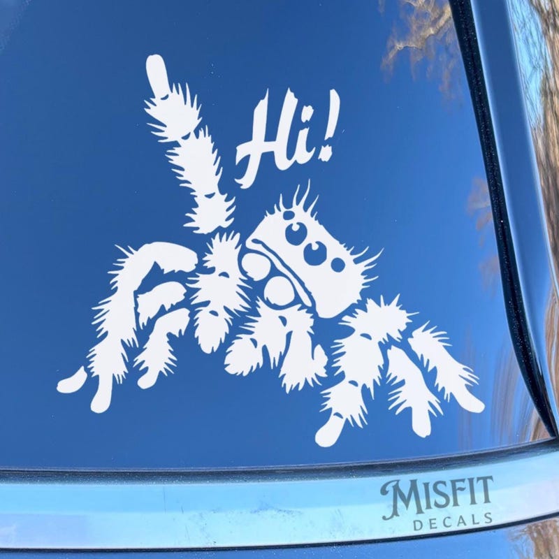 Car Decal Jumping Spider - Etsy