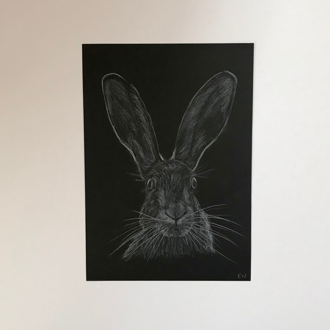 A4 Hand Drawn Hare Pencil Drawing Original Drawing Black - Etsy Canada
