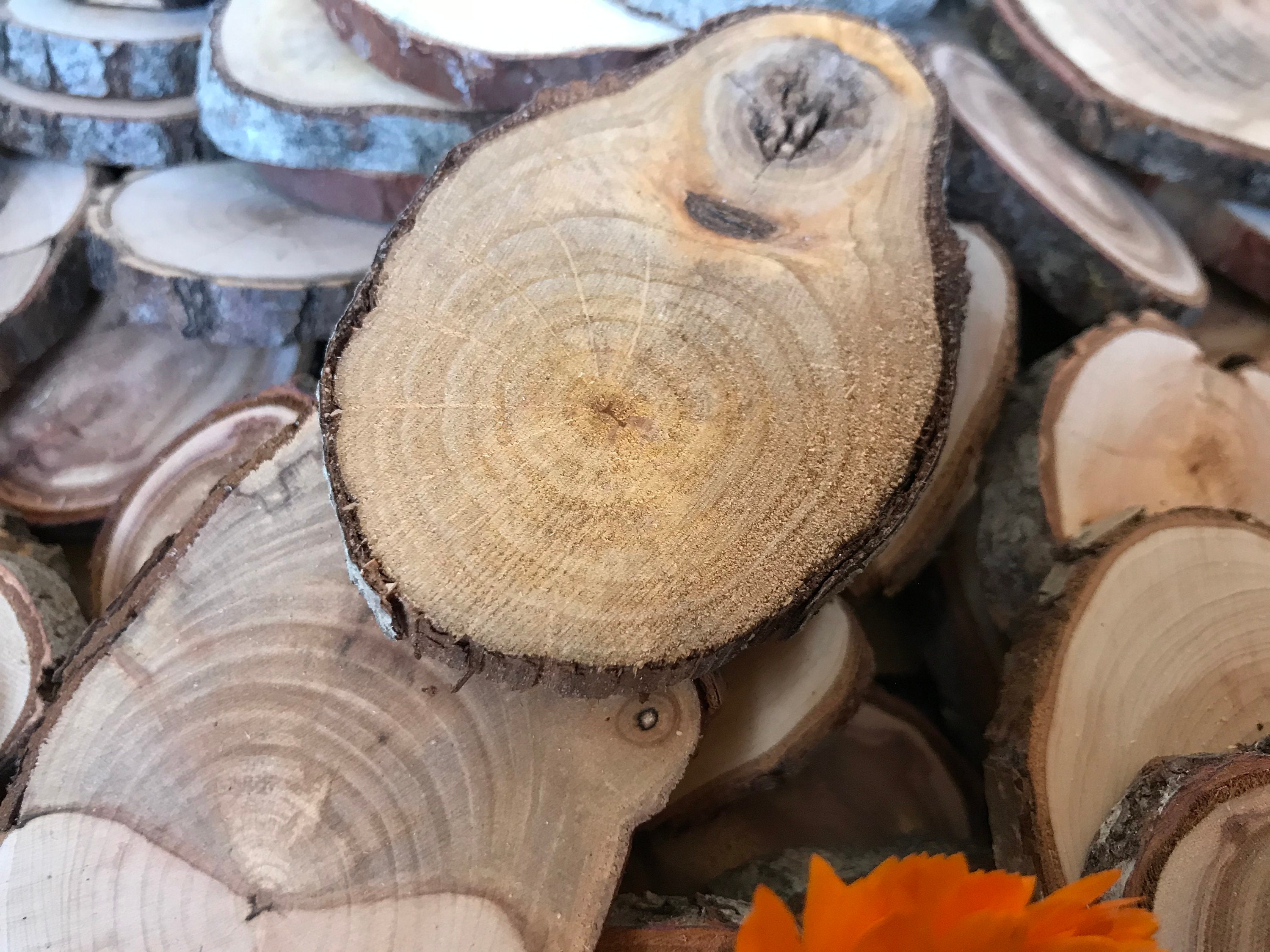 Set of 200 Various Sized Natural Wood Slices Natural Wood | Etsy