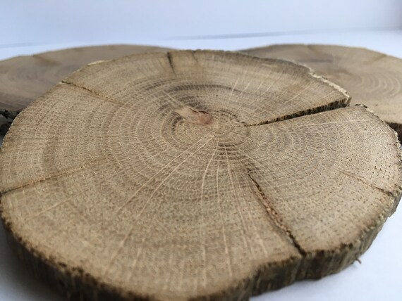 Set of 30 Oak Wood Coasters - Etsy