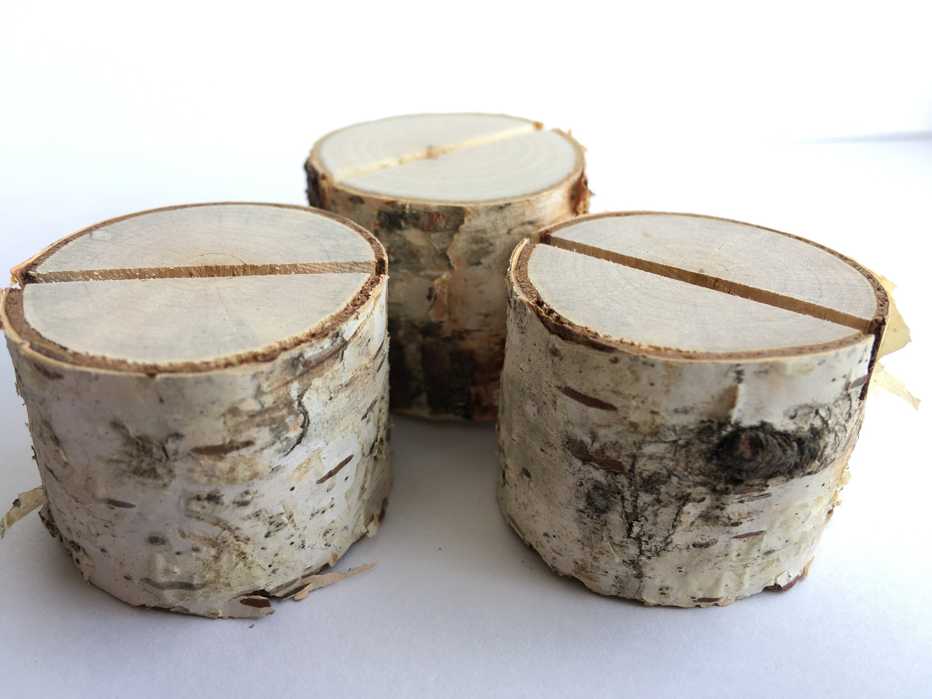 Set of 30 Birch Place Card Holders - Etsy