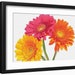 Flower Cross Stitch Pattern, Bouquet Cross Stitch, Gerbera Flower Cross ...