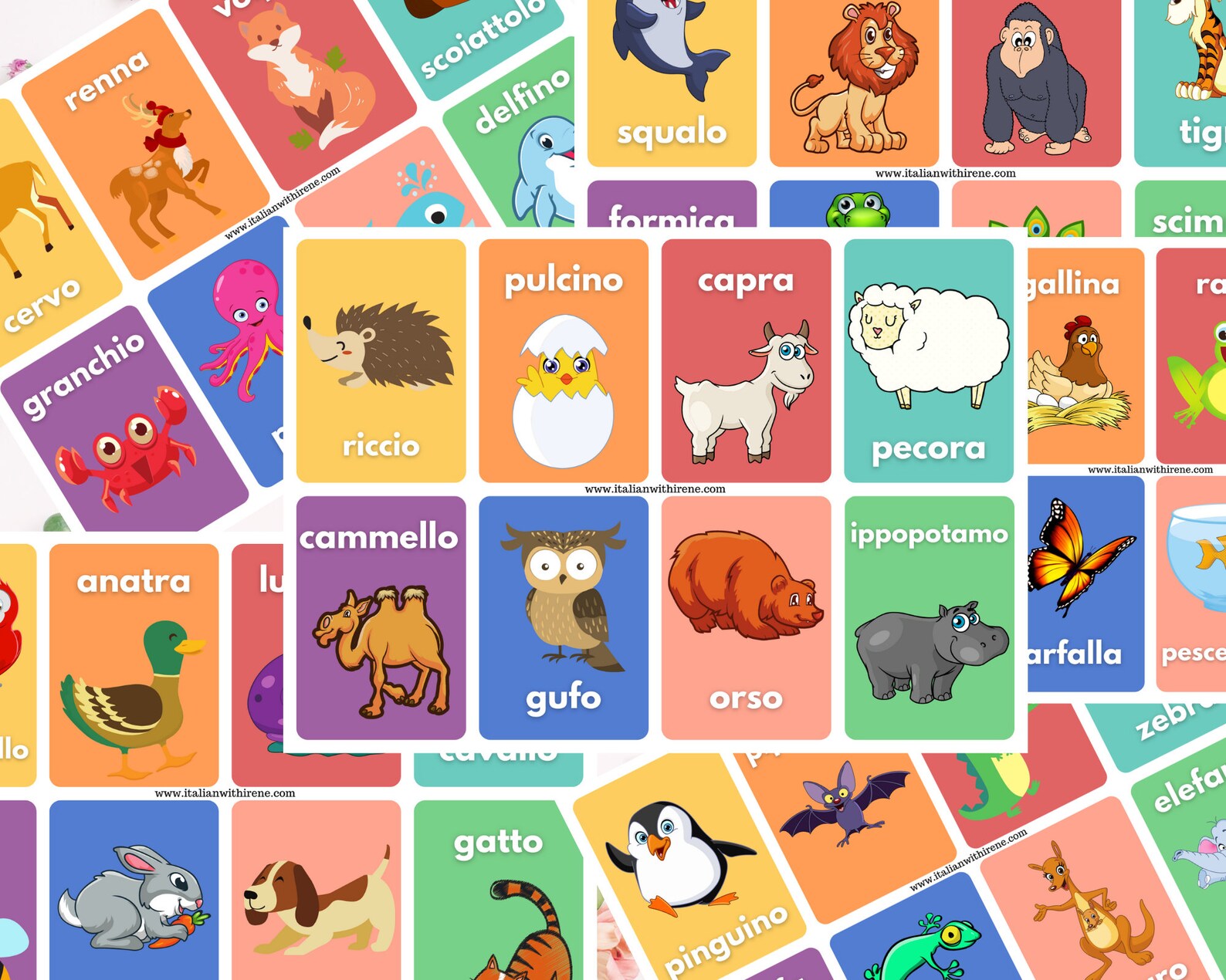 48 Italian Flashcards - Animali - Etsy