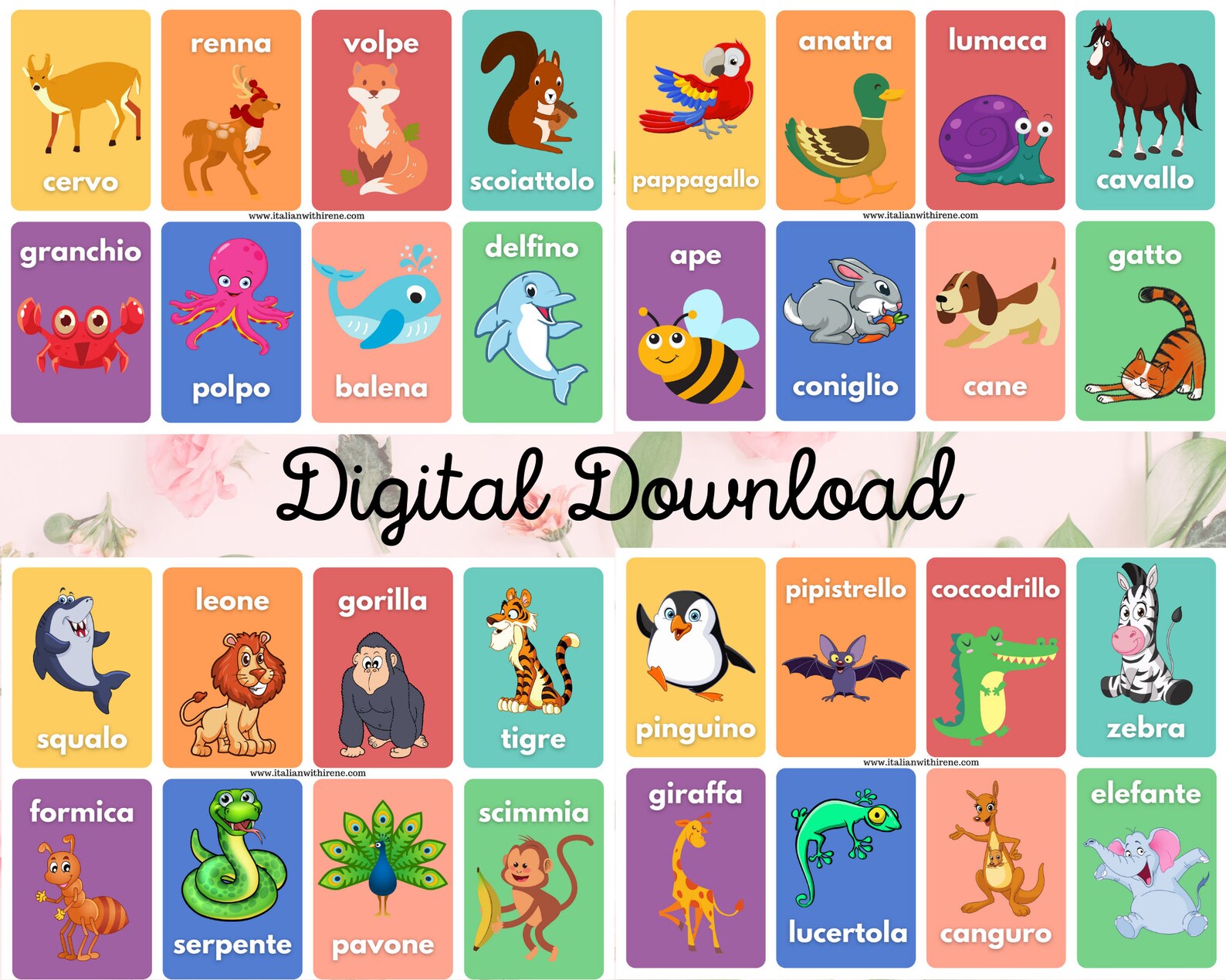 48 Italian Flashcards - Animali - Etsy