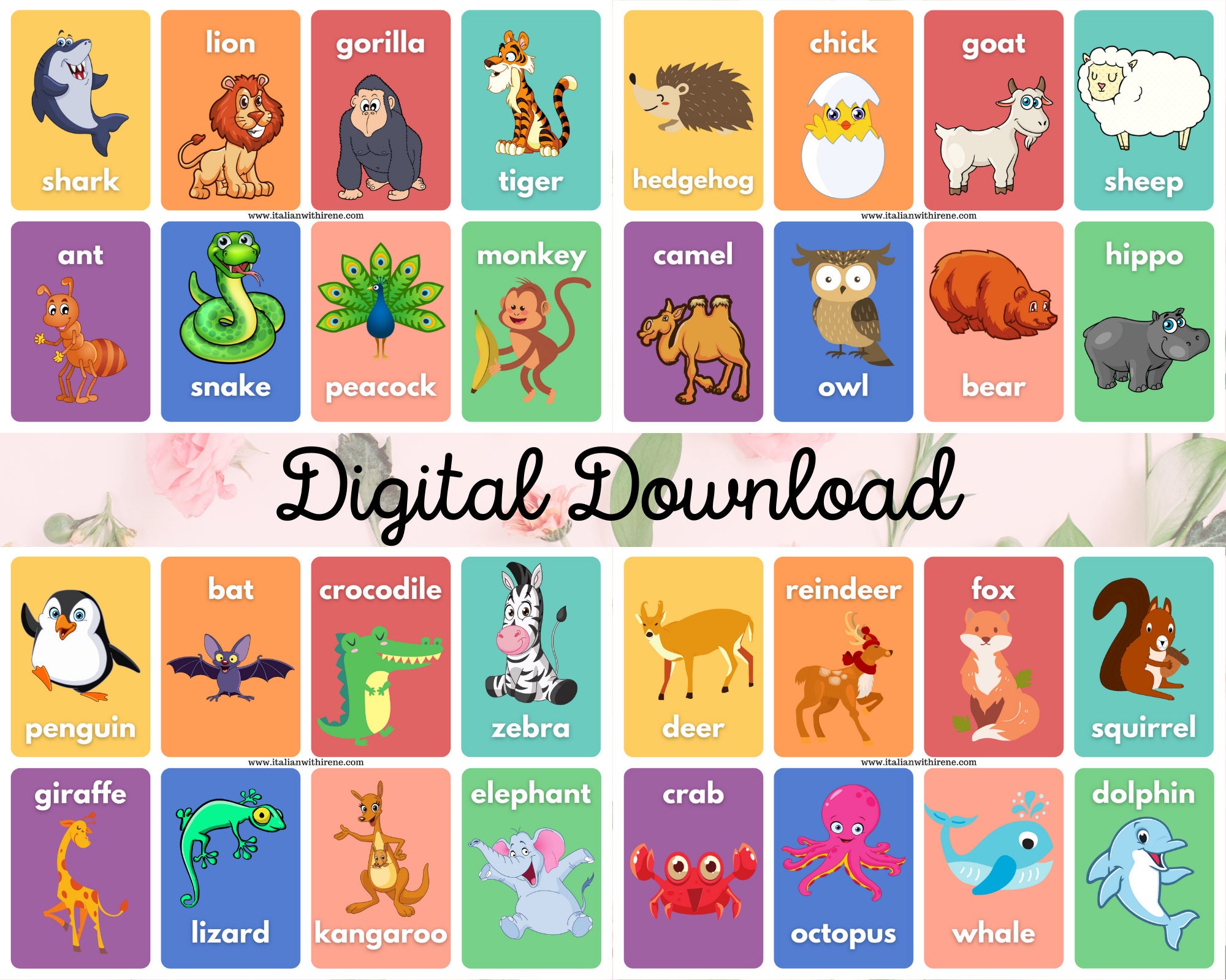 48 English Flashcards - Animals - Etsy