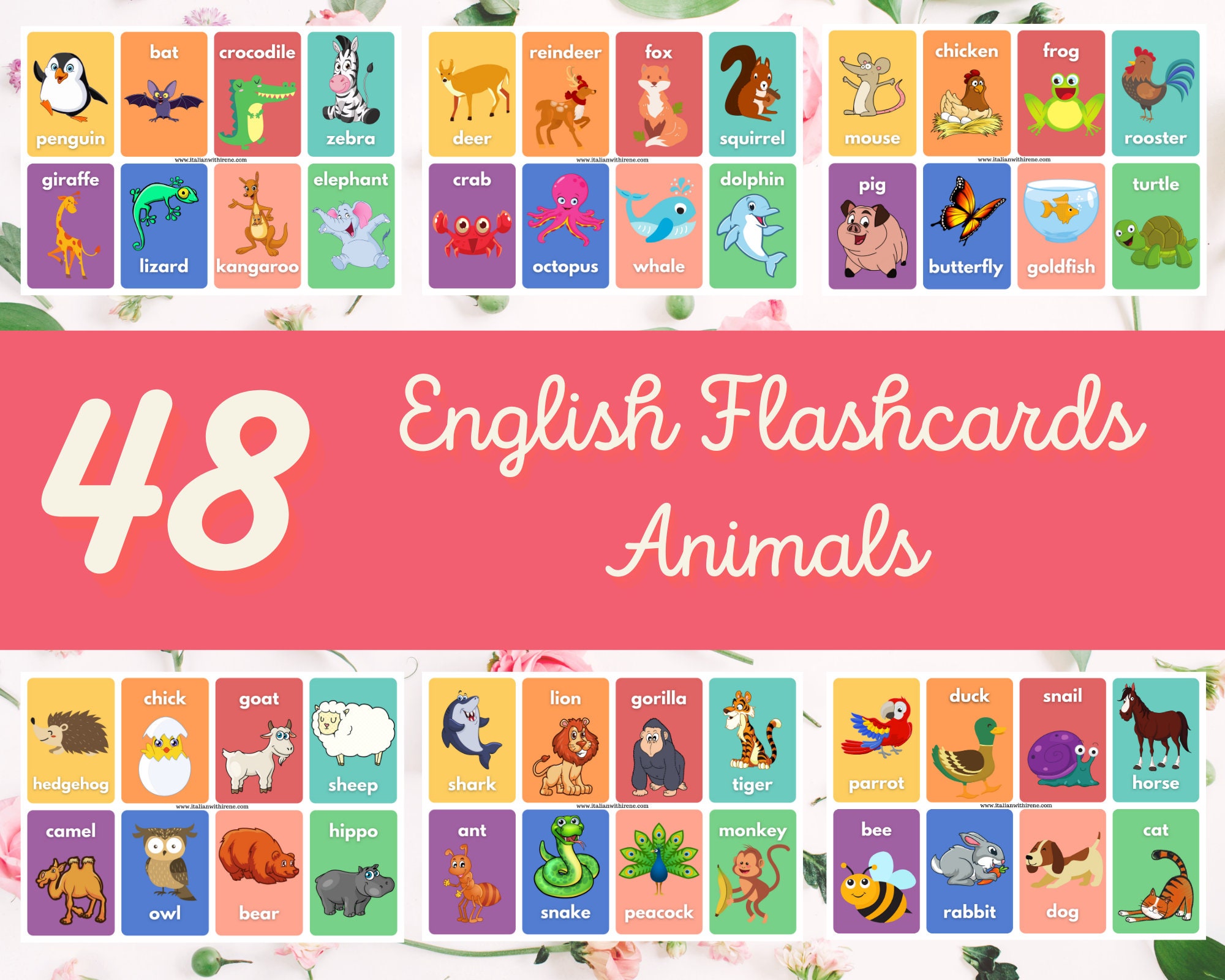48 English Flashcards - Animals - Etsy