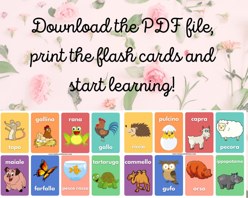 48 Italian Flashcards - Animali - Etsy