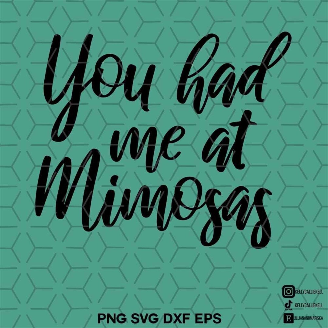 You Had Me at Mimosas Svg, Mimosas Svg, Alcohol Svg, Cricut File ...