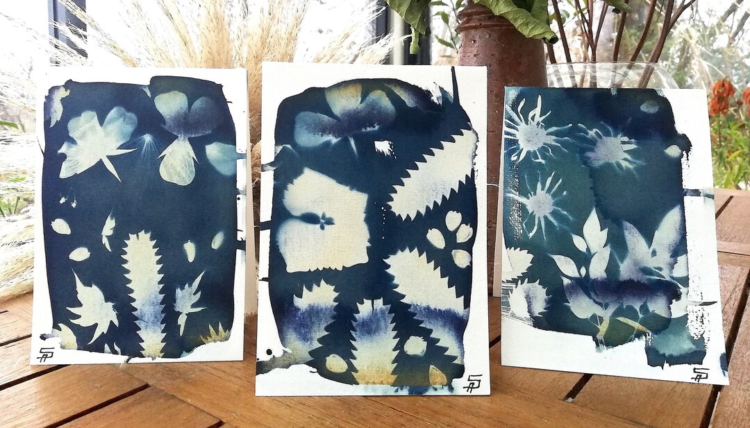 Cyanotype Greeting Card - Etsy