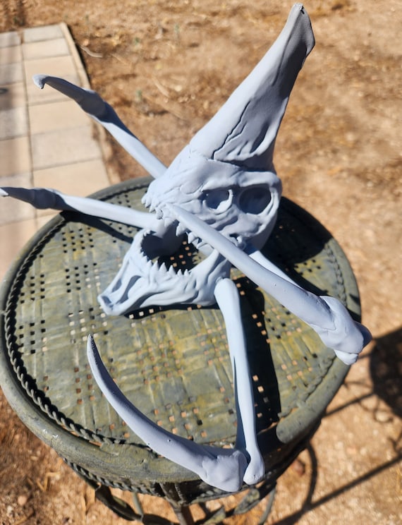 Real Leviathan Skeleton