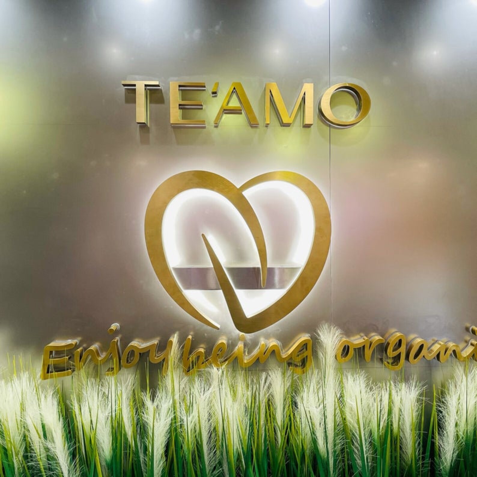 Custom Logo Sign Led Sign-frontlit Logo Sign 3d Business Logo Sign ...