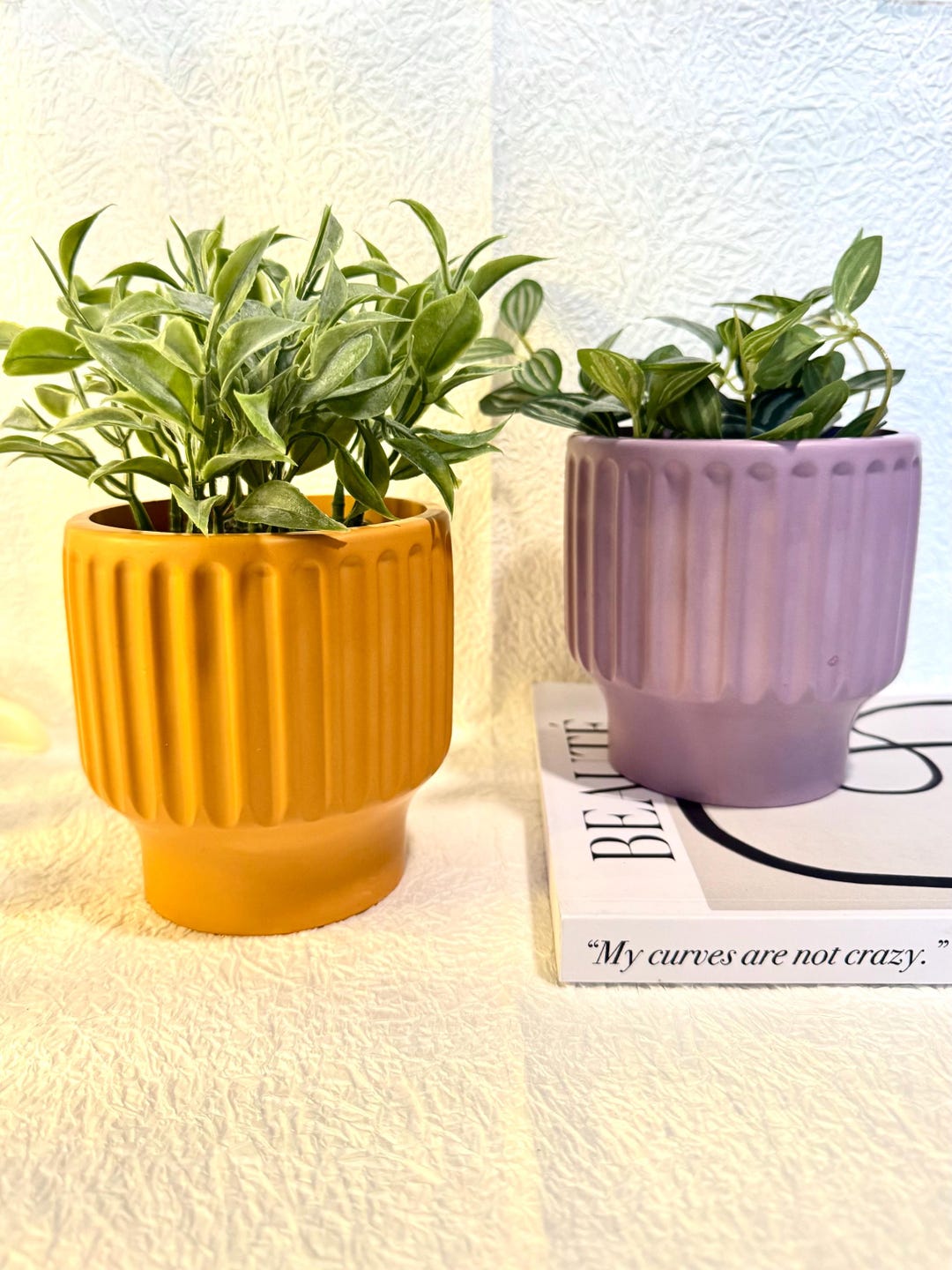 Handmade Ribbed Jesmonite Planter: Modern Minimalist Decor - Etsy