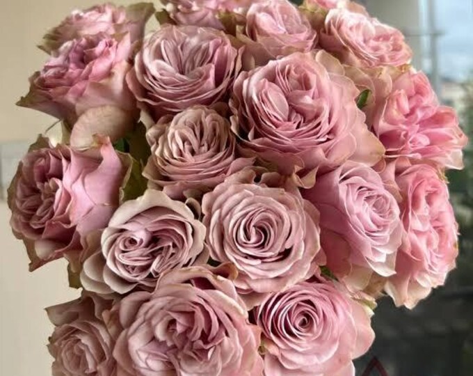 Rose Godfather US Seller 教父 1 Gallon - Etsy