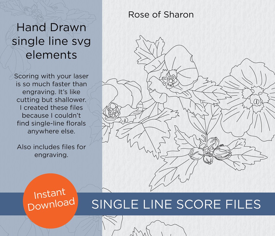 Rose of Sharon Svg - Single Line Score Elements SVG, PDF - Etsy