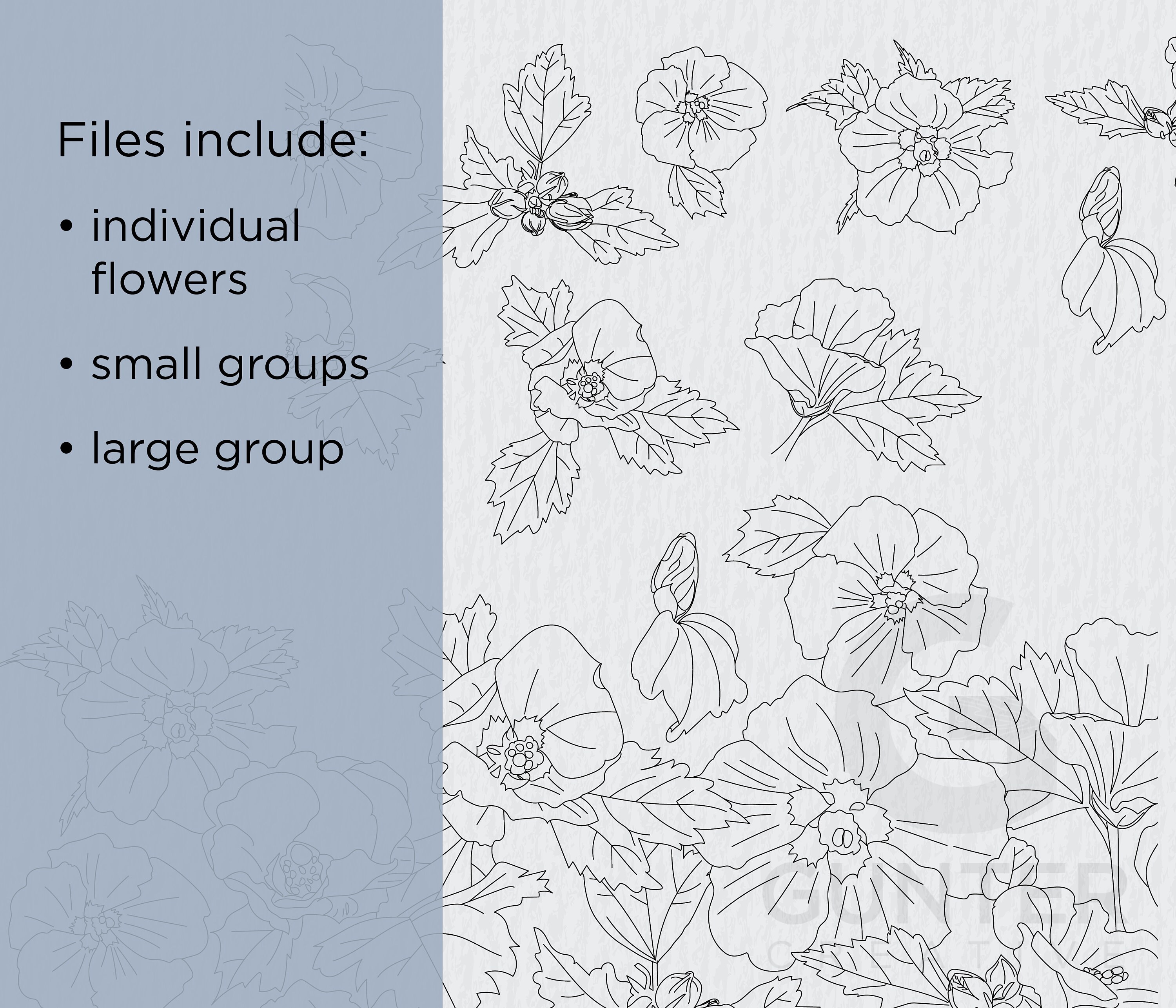 Rose of Sharon Svg Single Line Score Elements SVG PDF - Etsy