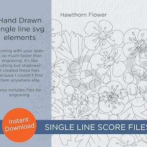 Hawthorn - Single Line Score Elements SVG, PDF - Etsy