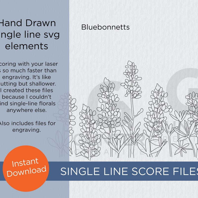 Bluebonnet Svg - Etsy