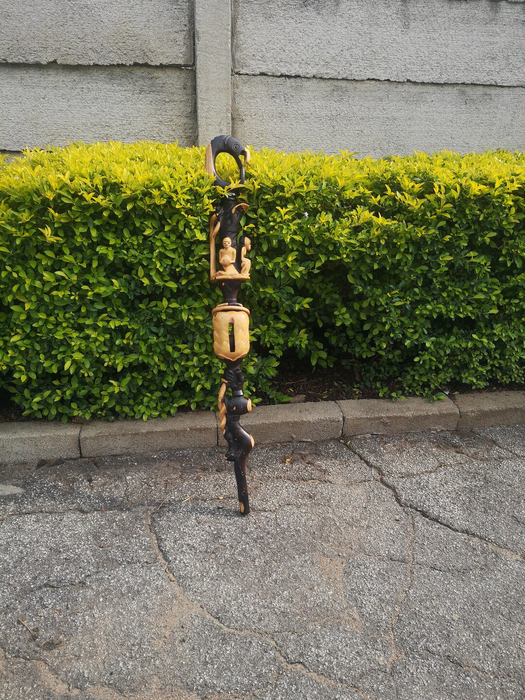 Nyami Nyami Walking Stick Zambezi River God Cane Free Shipping - Etsy