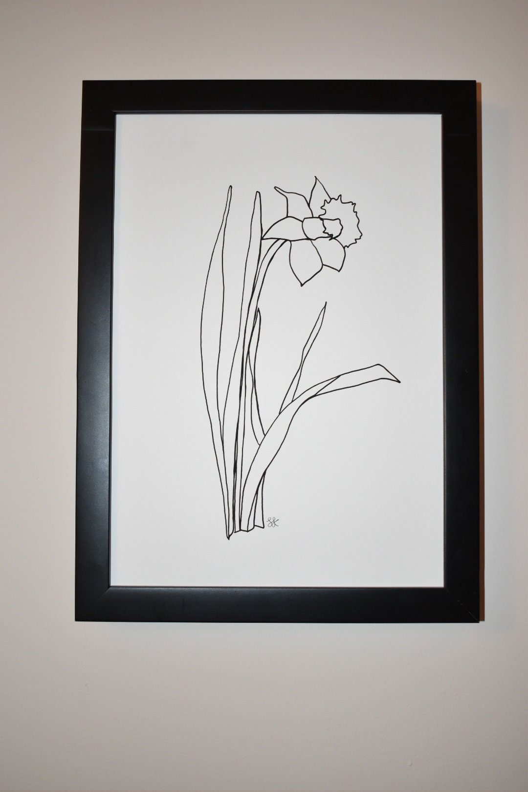 Daffodil Hand Drawn Line Drawing Flower - Etsy