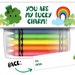 Printable St.patrick Bag Toppers, Cookie Bag, Rainbow, Candy Label ...