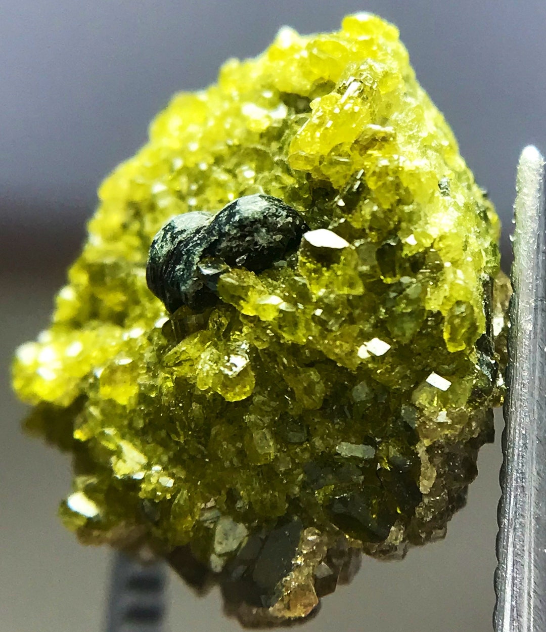 9 CT Full Terminated Natural Green Color Peridot Crystal Specimen - Etsy