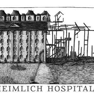 The Hostile Hospital ~ Heimlich Hospital (print), A Series of ...