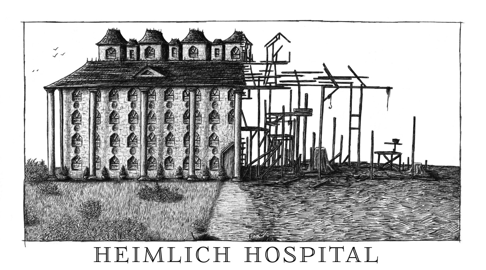 The Hostile Hospital ~ Heimlich Hospital (print), A Series of ...