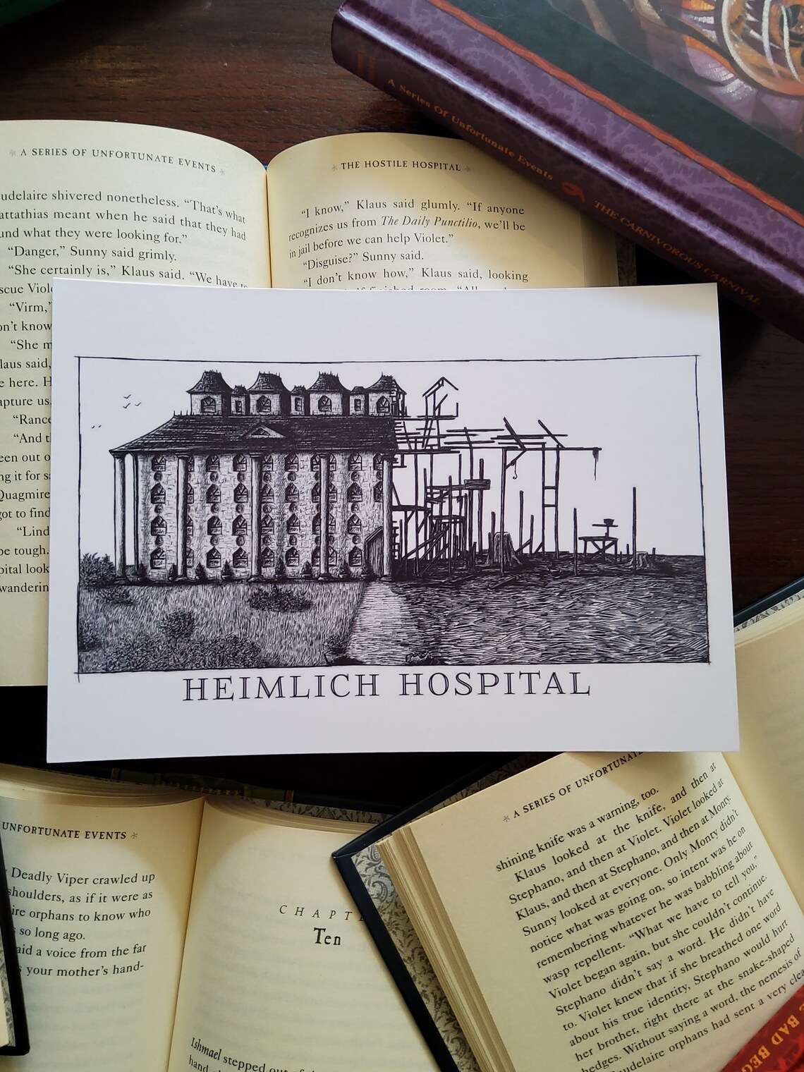 The Hostile Hospital ~ Heimlich Hospital (print), A Series of ...