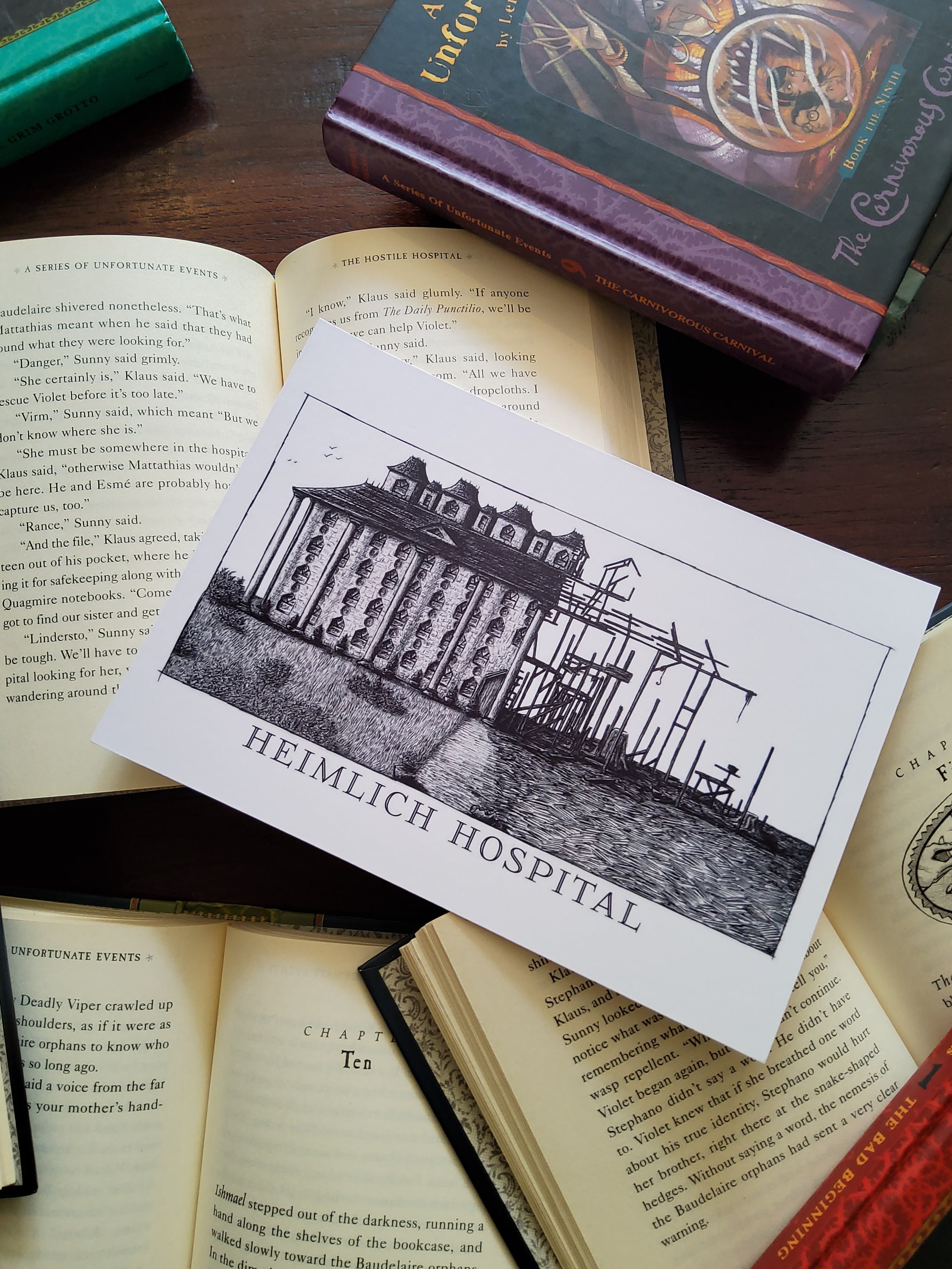 The Hostile Hospital ~ Heimlich Hospital (print), A Series of ...