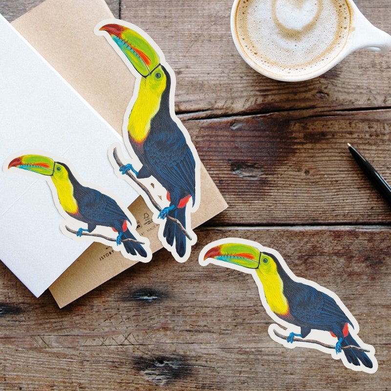 Keel Billed Toucan - Etsy