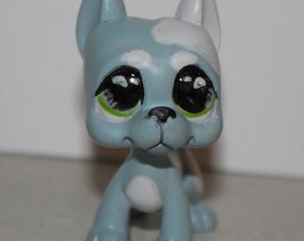 Littlest Pet Shop Collie LPS Custom OOAK - Etsy