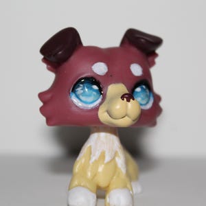 LPS Littlest Pet Shop Custom OOAK Collie Lps Dog OOAK - Etsy